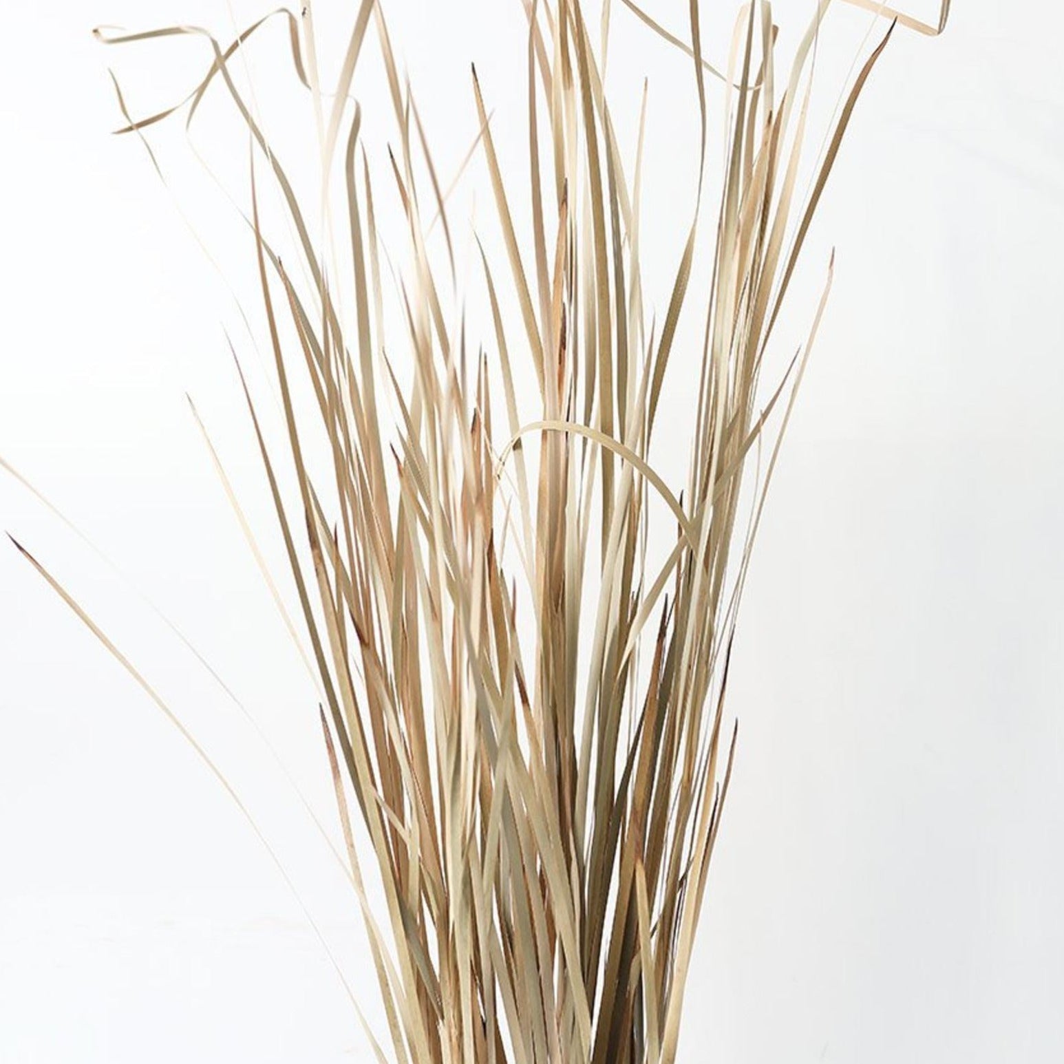 Flax Grass – Farm Home Marketplace